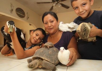 Una familia mexicana convive con 76 animales